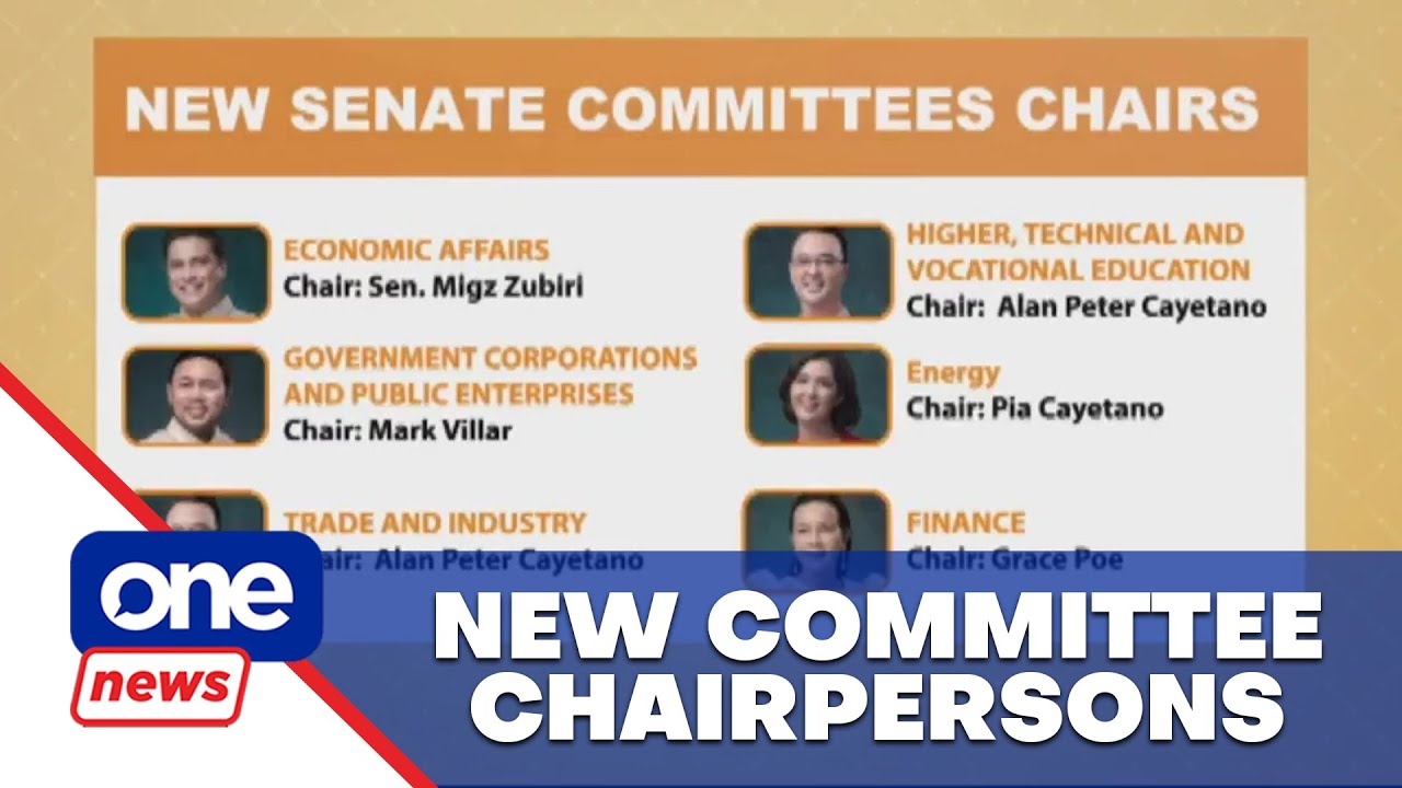 Senate elects new committee chairpersons - YouTube