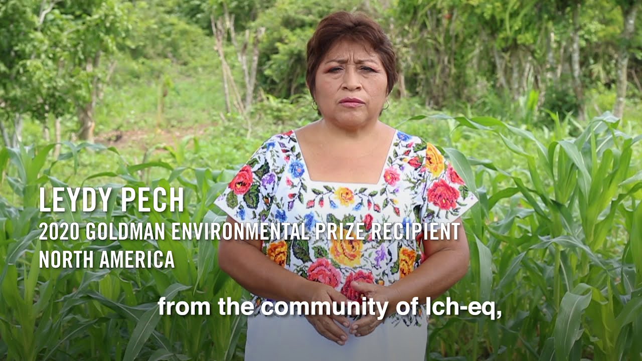 Leydy Pech’s Acceptance Speech, 2020 Goldman Environmental Prize - YouTube