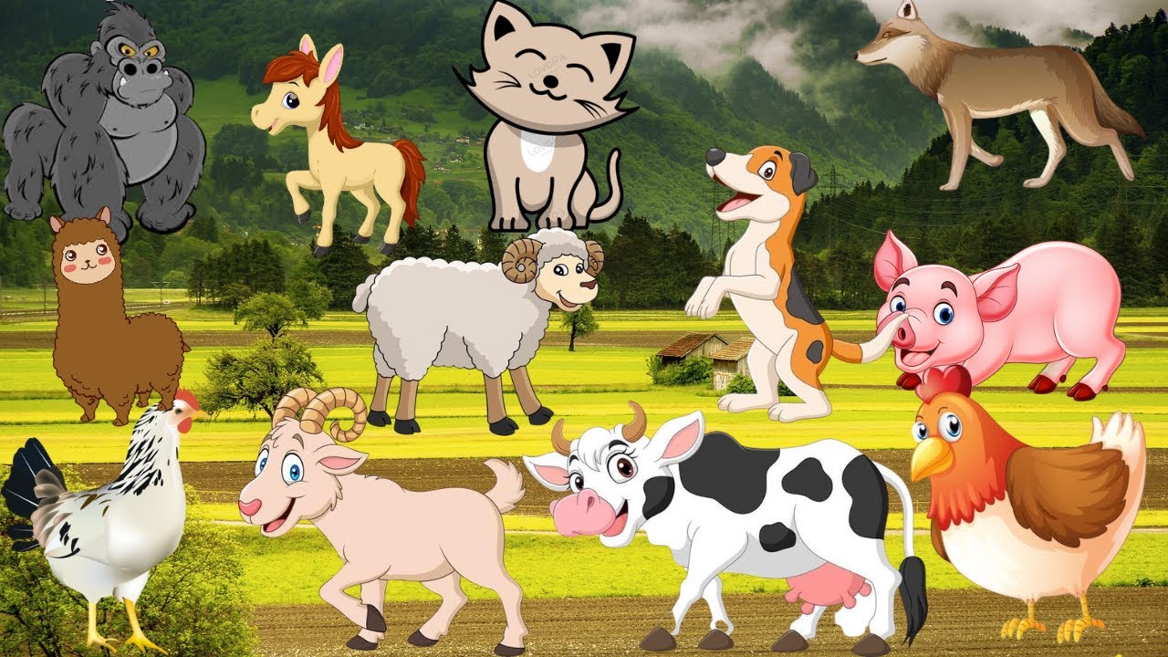 Learn about farm animal and wild animal : Chicken, Cat, Cow, Sheep ...