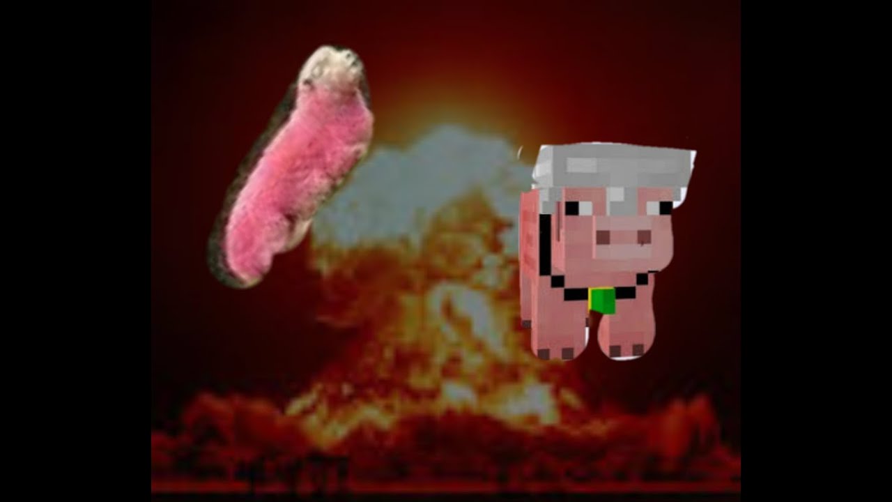 the pig revolution trailer (oficial) - YouTube