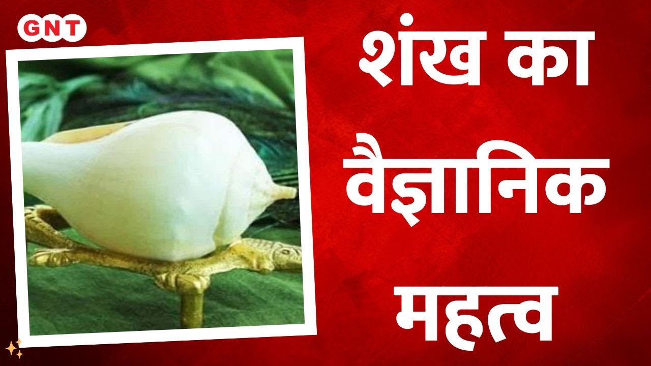 Shankha: समझें शंख का धार्मिक और वैज्ञानिक महत्व - YouTube