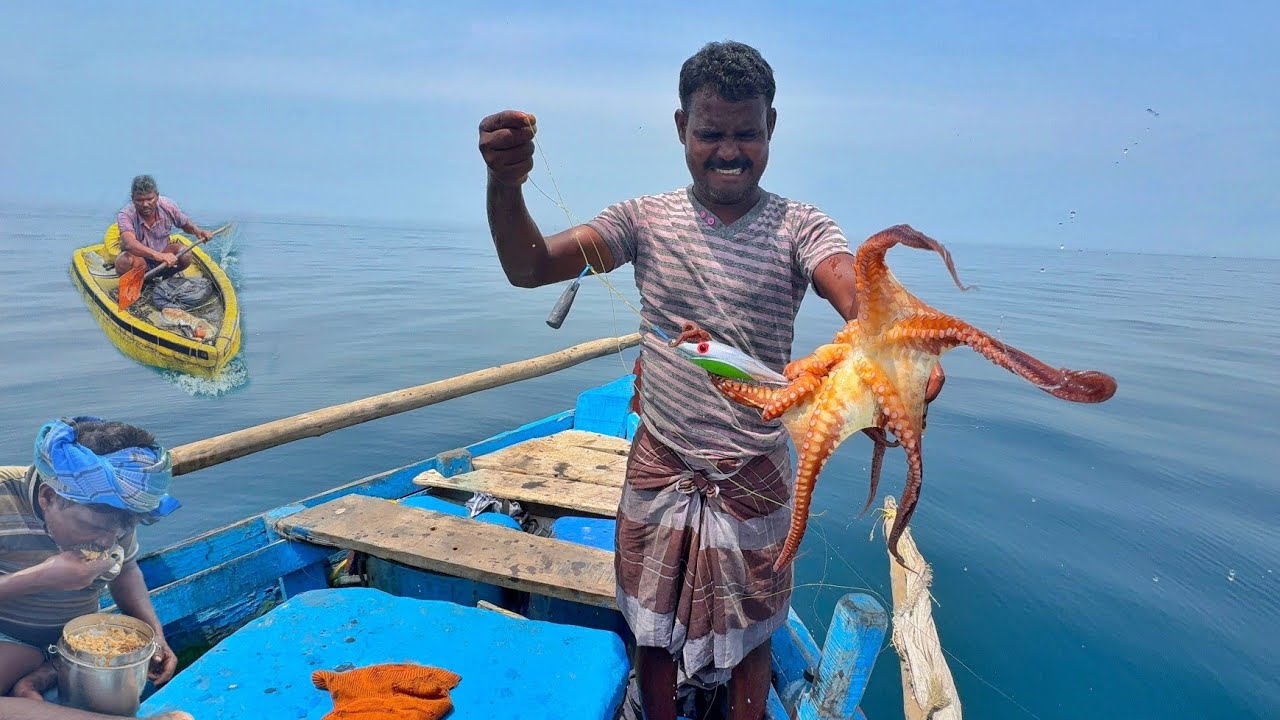 Ohh Dangerous Octopus Attack 💢 Huge Catch Octopus & Cuttle Fishes 🐙 ...