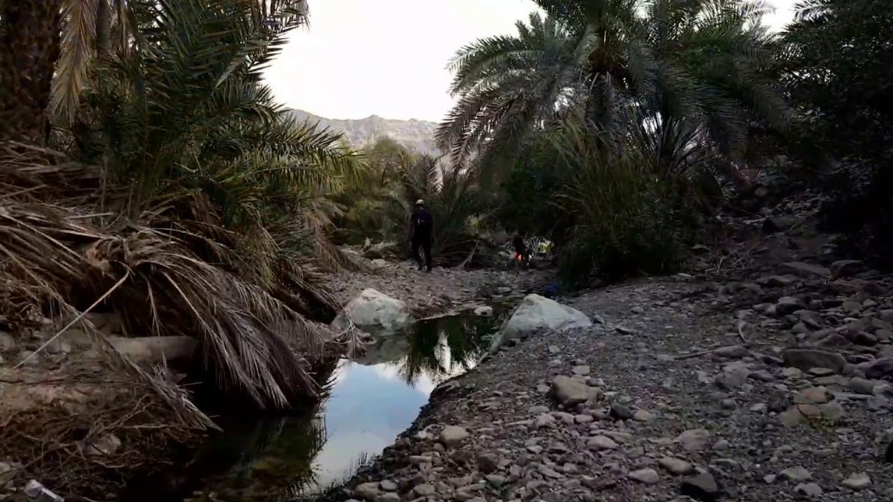 وادي سهم ووادي الحيل،الفجيرة،الإمارات العربية المتحدة Wadi Saham &Wadi ...
