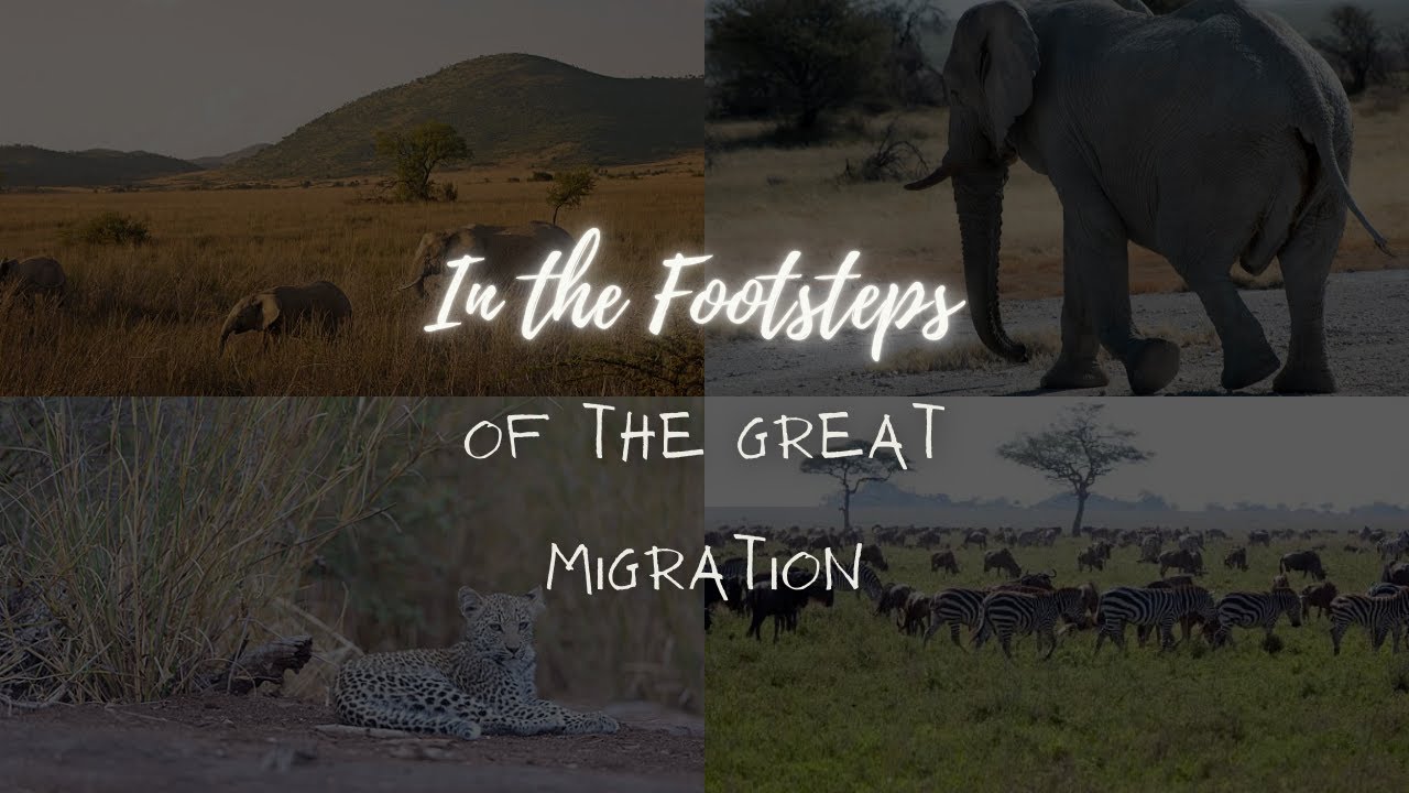 Viajo LC - In the Footsteps of the Great Migration - YouTube