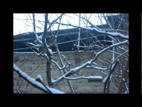 Heyatin anlami.wmv