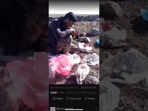 Çöpçü yalan söylüyör