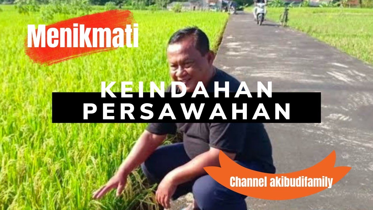 keindahan alam persawahan | akibudi menikmati keindahan persawahan desa ...