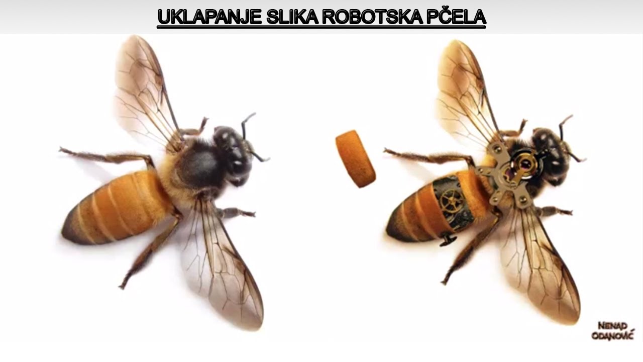 Photoshop Tutorial uklapanje slika pcela - YouTube