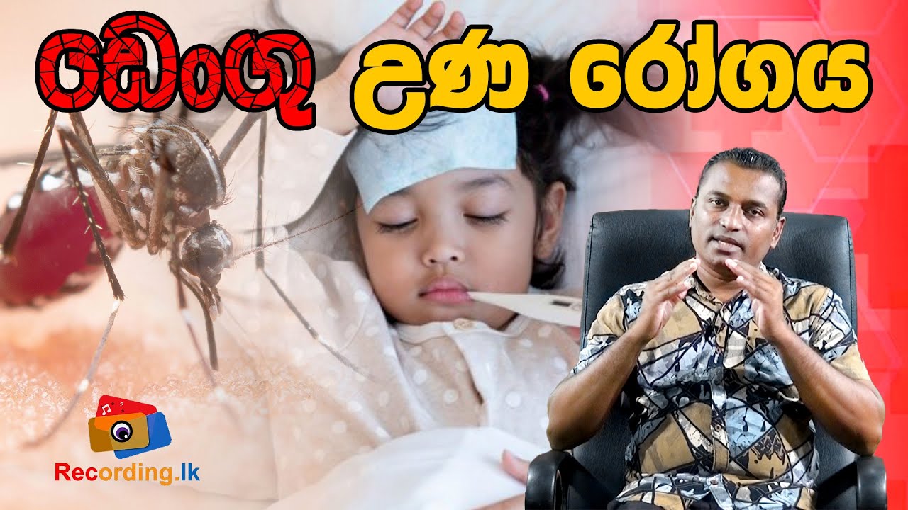ඩෙංගු රෝගය ගැන දැනුවත් වෙමු How Dengue Spreads and What You Can Do! Dr ...