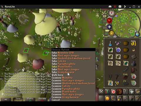 Just 1 pray UIM things #1. Mutated Zygomite Safe Spot at Fossil Island ...