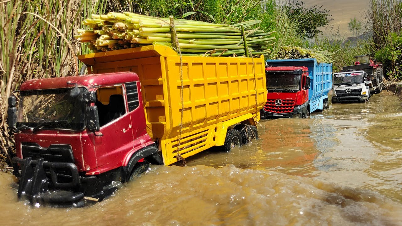 MOBIL TRUK TRONTON OLENG MUATAN JERAMI, TRUK RC UD QUESTER MUATAN BERAT ...