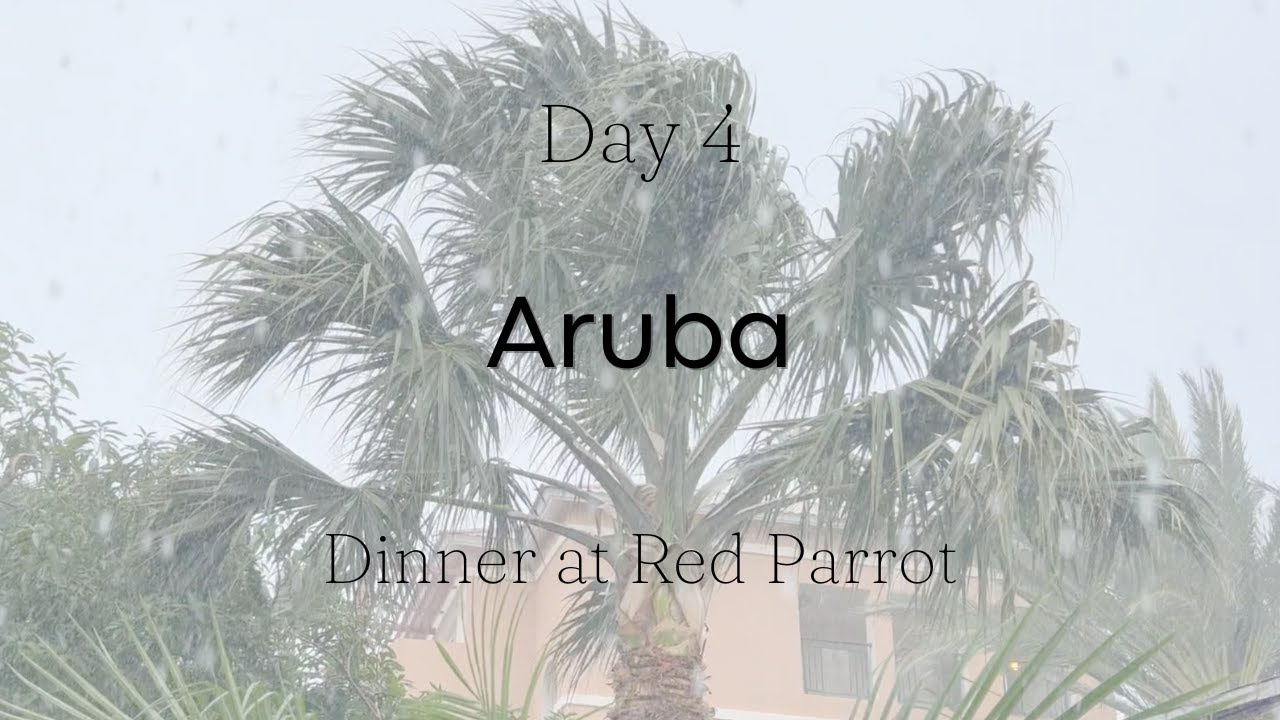 Dinner at the Red Parrot | Hanging with Old Coworkers & Friends | Aruba ...