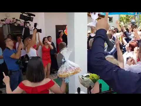 Vrana konja javam jas