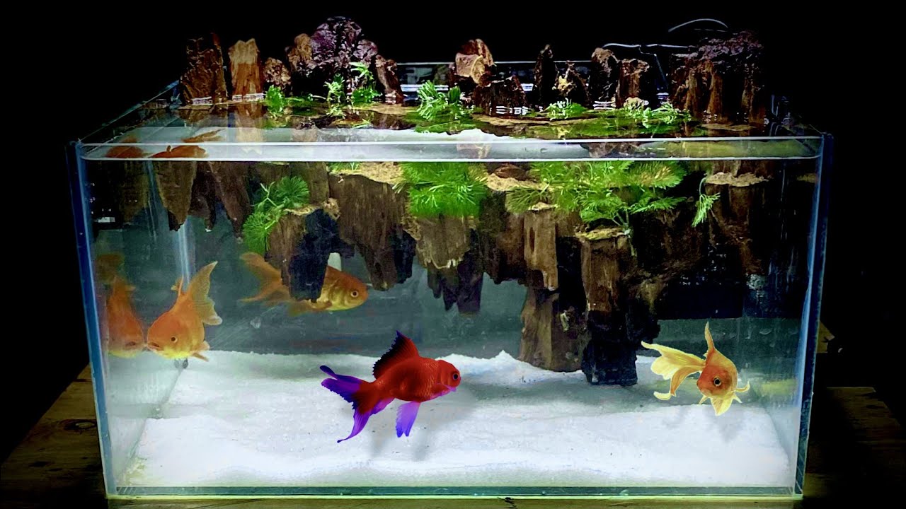 How I made my own island | how to make aquarium - YouTube