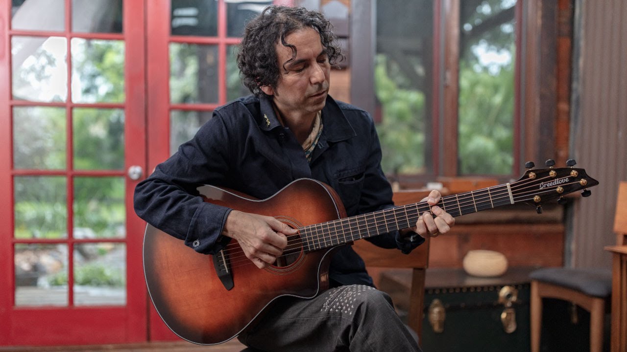 Breedlove Organic Collection Performer Concert Cutaway | David Garza ...