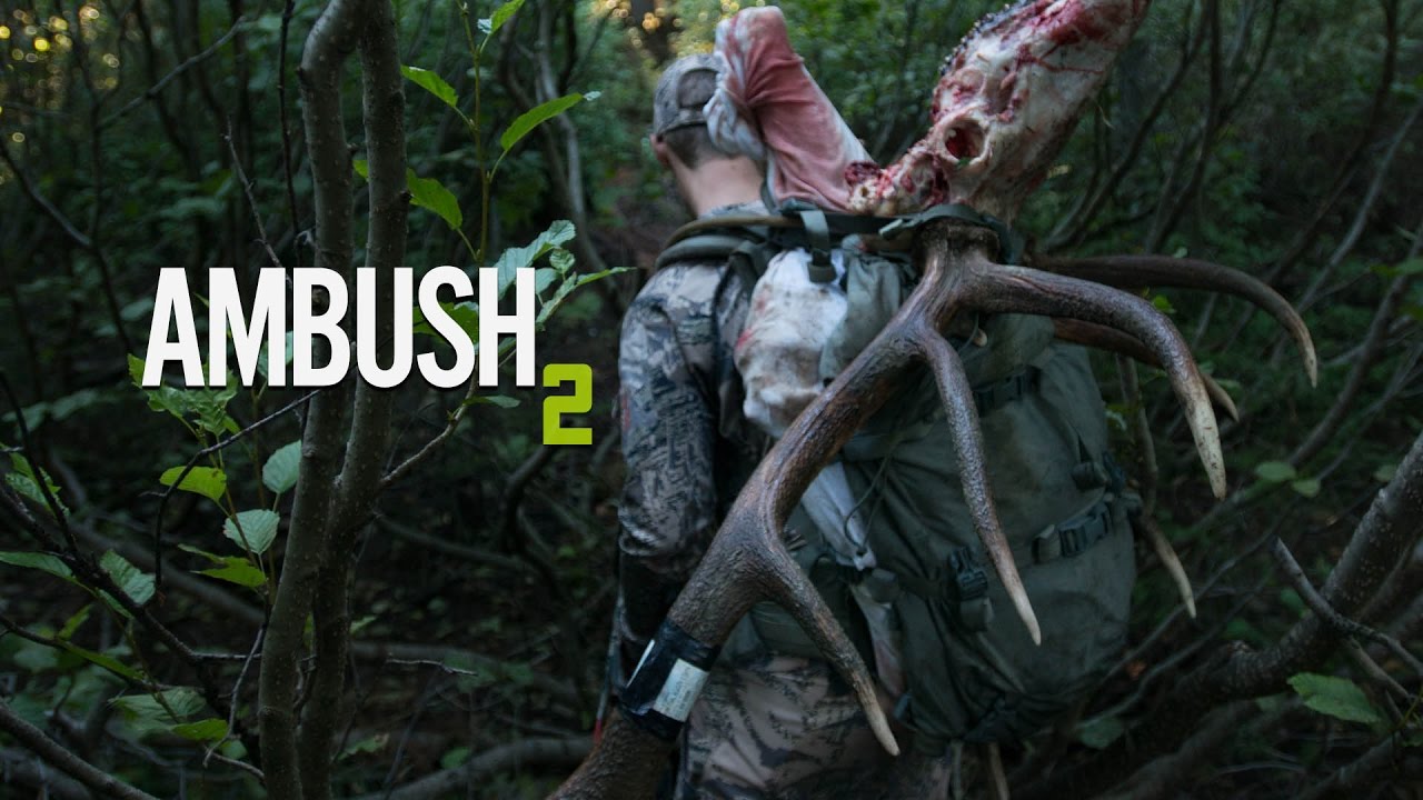 AMBUSH 2 - Bowhunting Montana Public Land Elk - YouTube