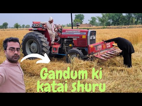 Gandum ki katai shuru | Wheat cutting with Reaper machine | Wheat crop ...