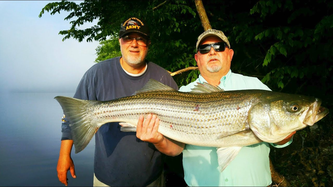 Tennessee River Monsters - Season II (River Monsters Among Us) - YouTube
