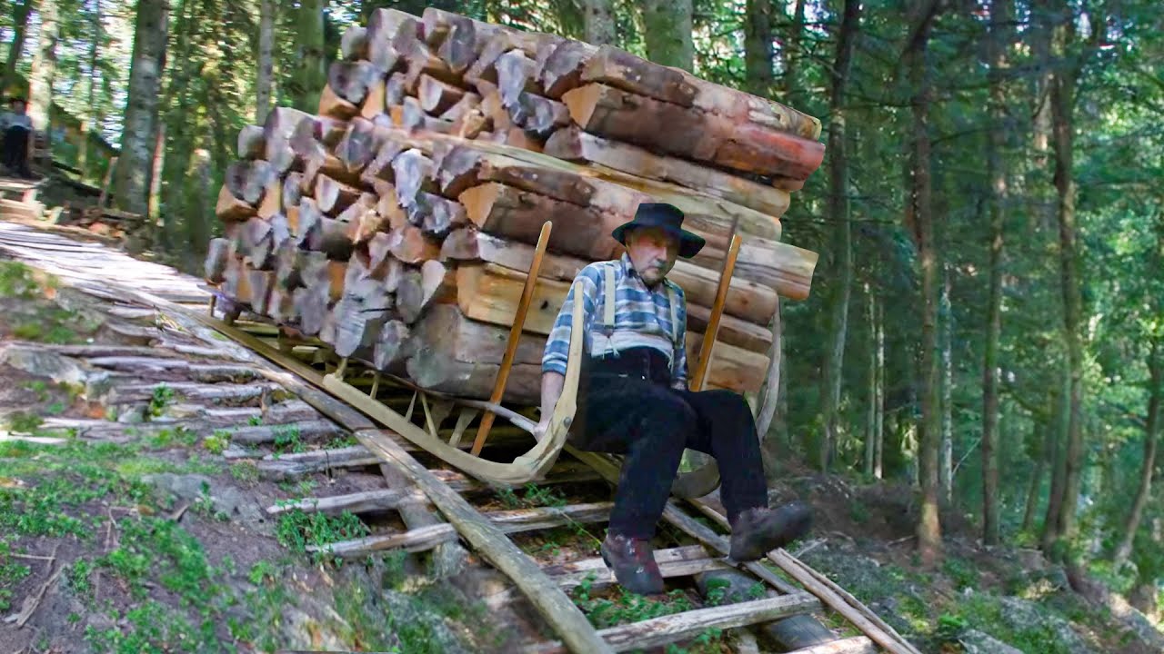 Primitive Way They Transport Logs in France - YouTube