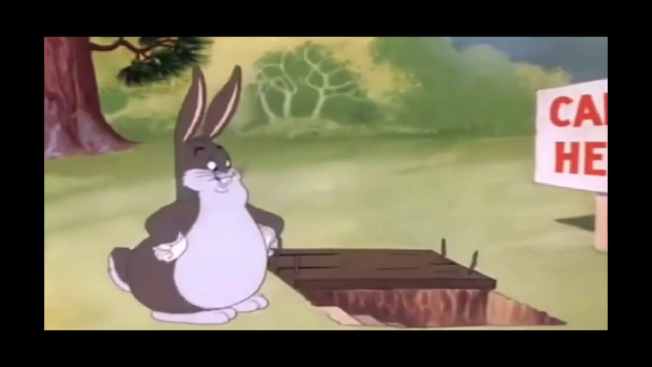 Big chungus lady's and gentlemen we got em - YouTube