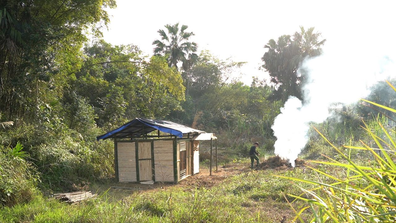 FULL 30 DAYS: Building a house in the forest - Process from start to ...