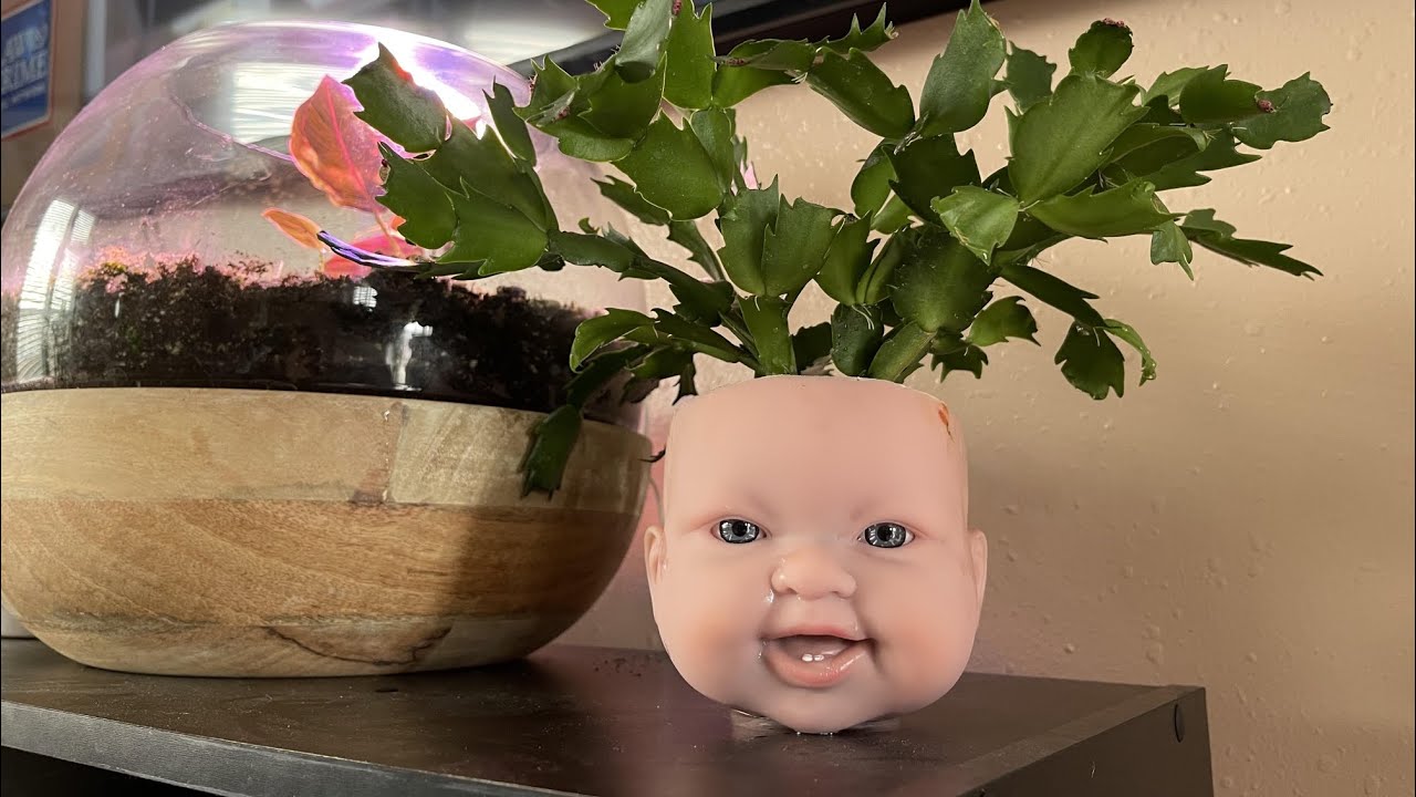 The secrets to choosing perfect planters - YouTube