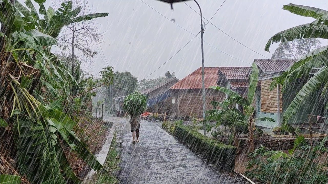 Super heavy rain accompanied by extreme strong winds, walking in super ...