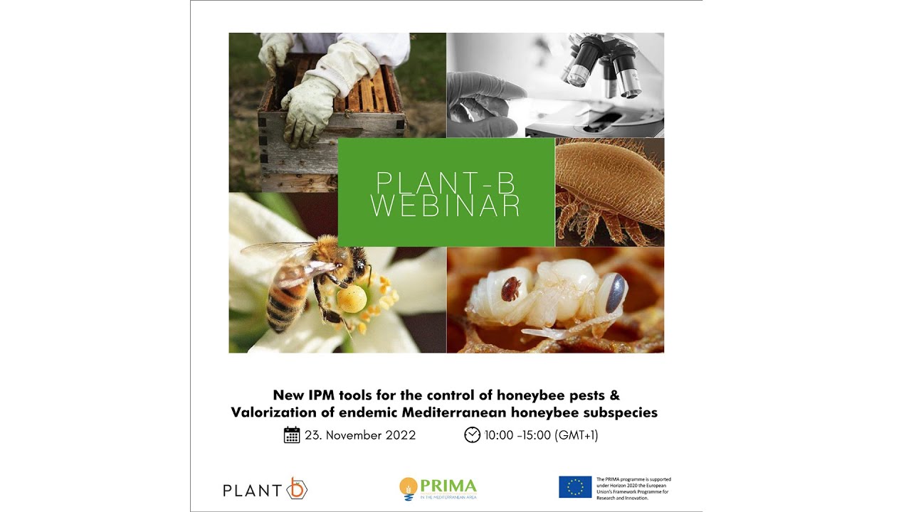 9. Capacity of Saharan and Tellian bees to support protein deficiencies ...