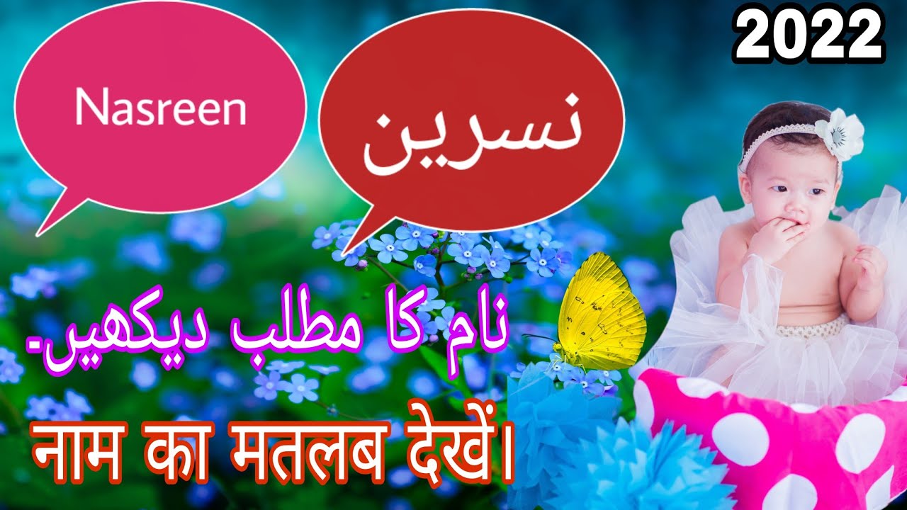 Nasreen name meaning in urdu || نسرین نام کا معنی و مطلب ...