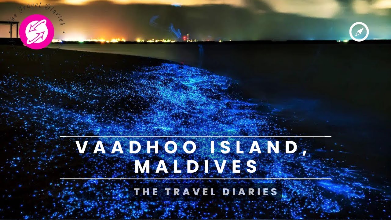 Vaadhoo Island Maldives Glowing Water Top 3 Things To Know About The