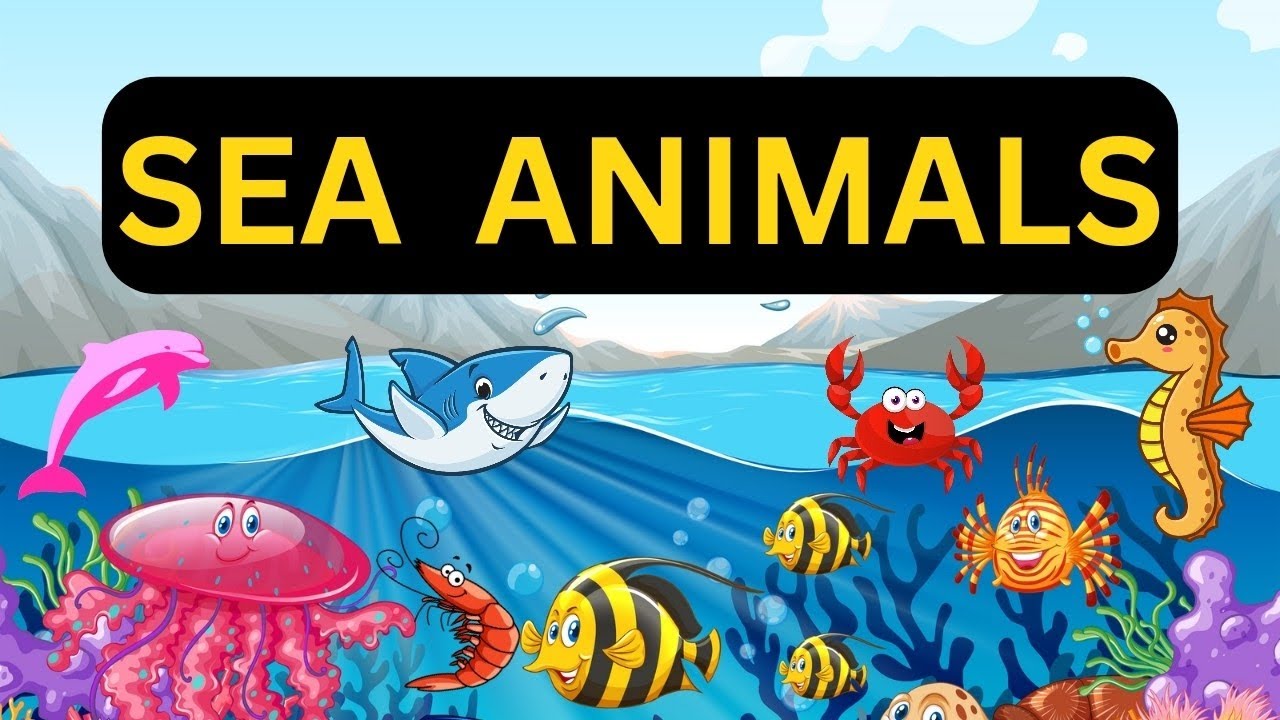 Sea Animals Name | Learn Sea Creatures In English | Marine Animals For ...