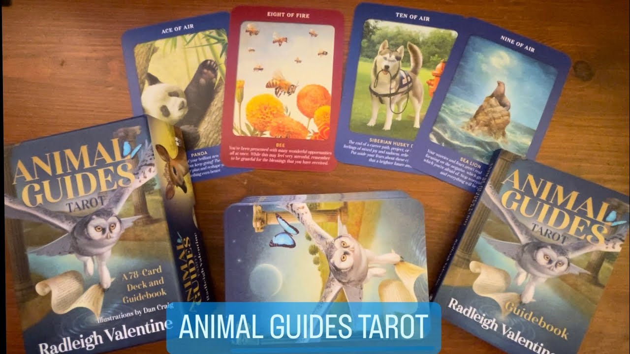 Animal Guides Tarot |⭐️New Release⭐️| Full Flip Through - YouTube