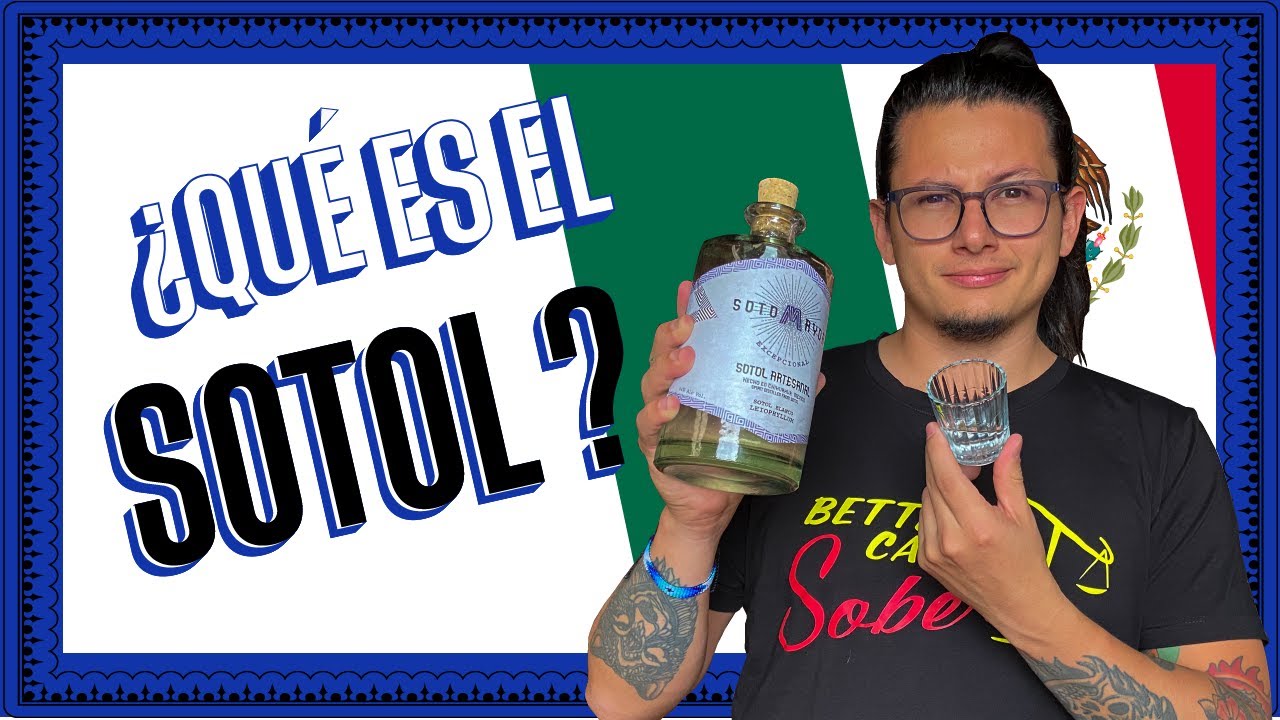 Qué es el SOTOL? 🥃 El nuevo Destilado Méxicano de LENNY KRAVITZ? | Guía ...