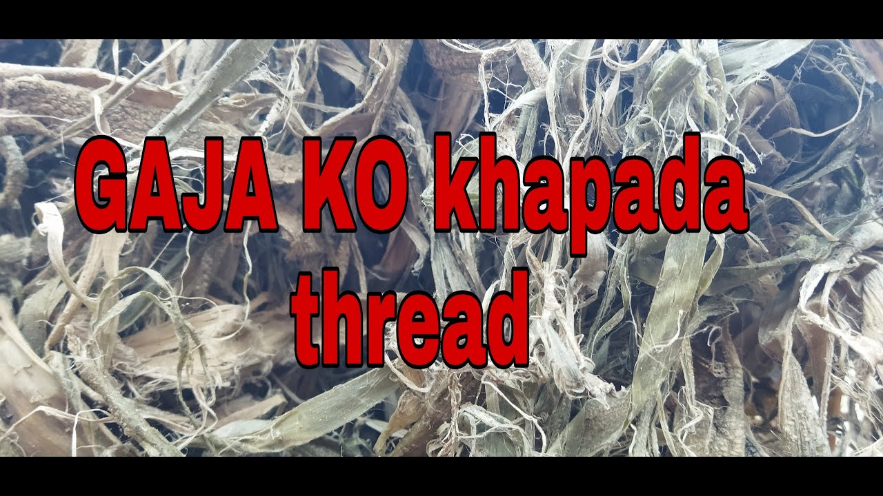 GAJA KO khapada thread - YouTube