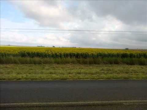 I'm Leaving it up to you-Rudi en Corlea.wmv - YouTube