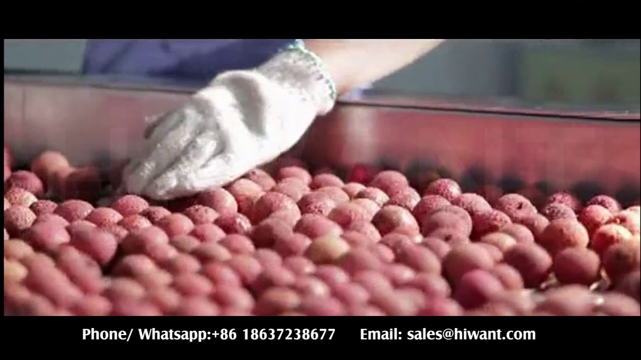Lychee Litchi Removing Peel Pit Processing Line -- Lychee Wine Making Machine - YouTube