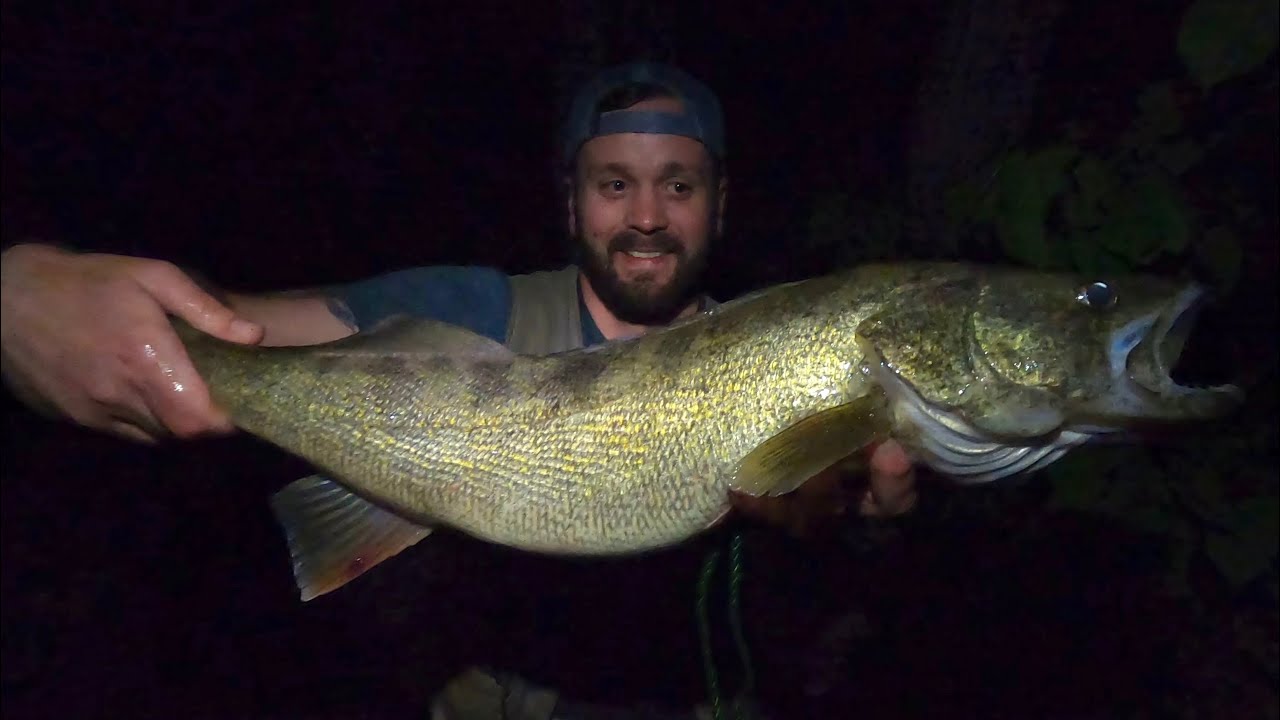 Trophy Walleye caught on 6 FOOT ROD!! PART 2 Manistee River, Michigan ...