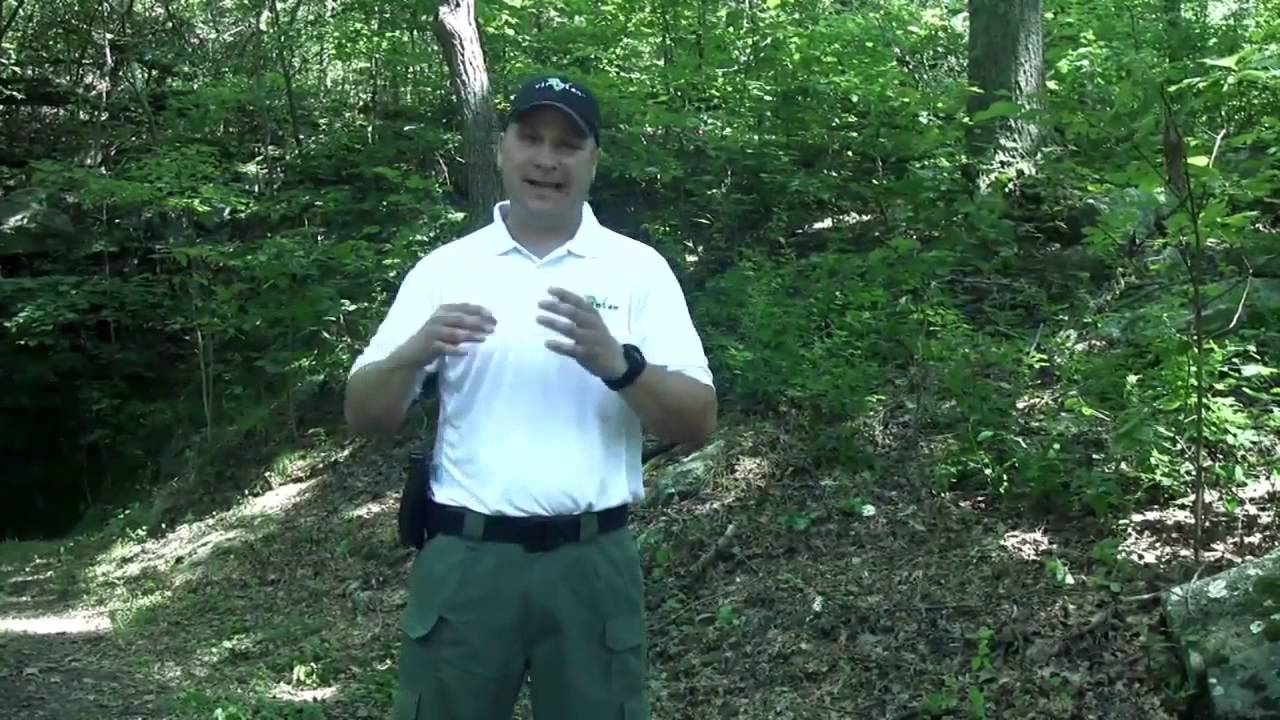 Viridian® INSTANT-ON® Activation by Rich Nance of WARTAC CQC - YouTube