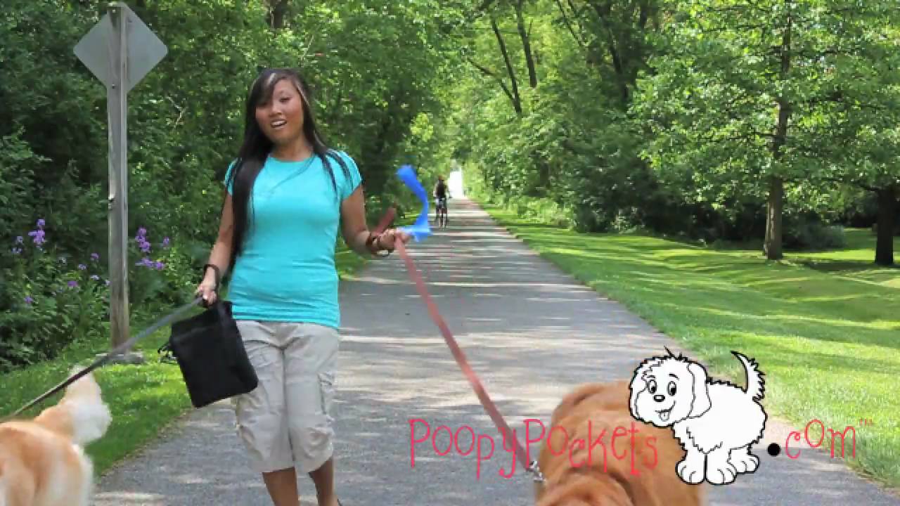 Poopy Pockets ver3normvoice.mov - YouTube