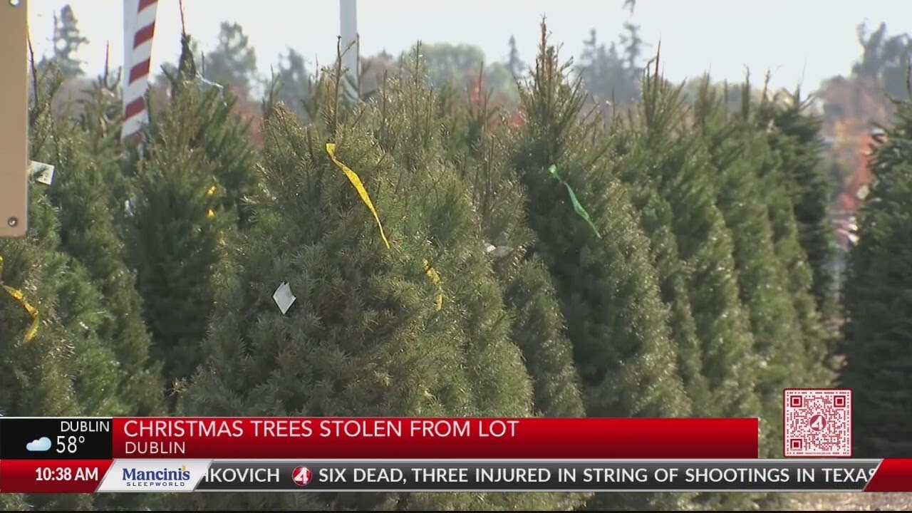 Christmas trees stolen from Dublin tree lot - YouTube