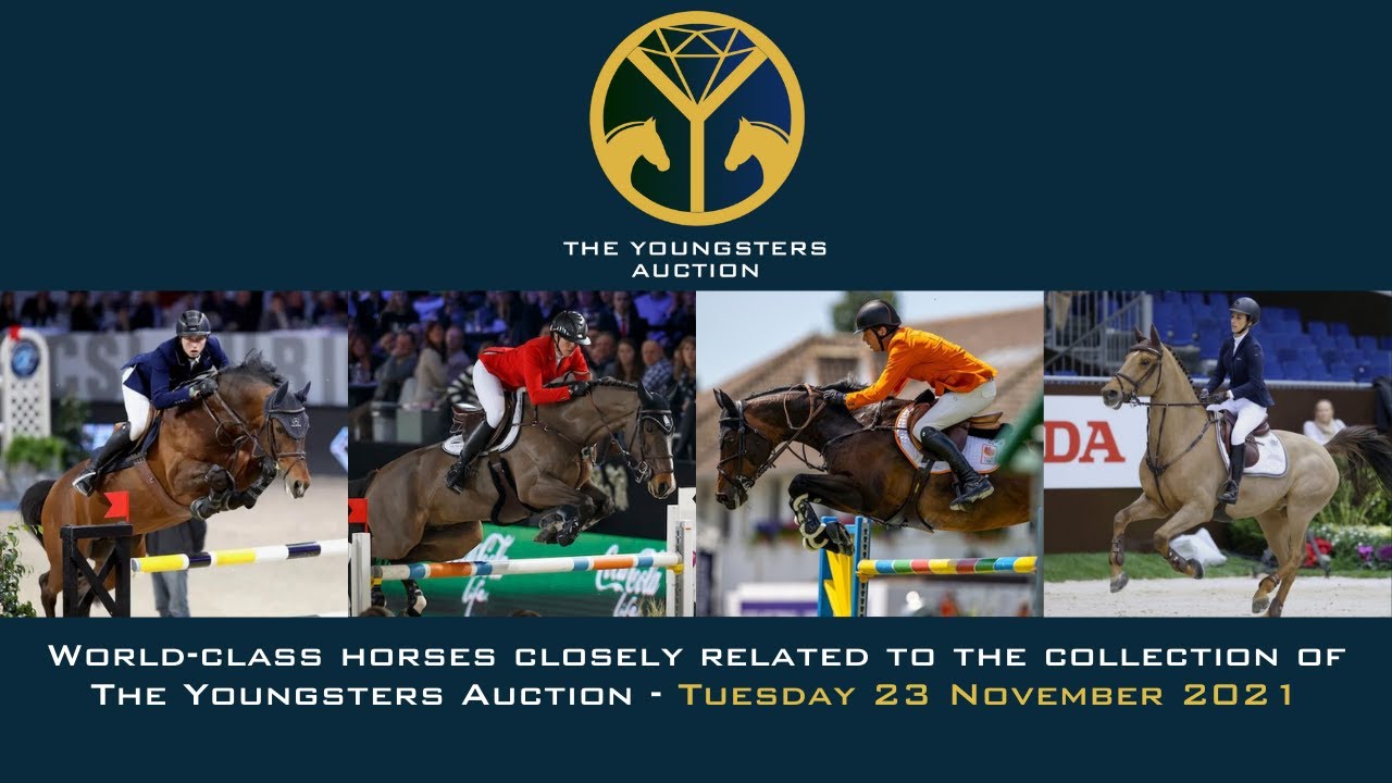 World-class horses closely related to the collection of The Youngsters ...