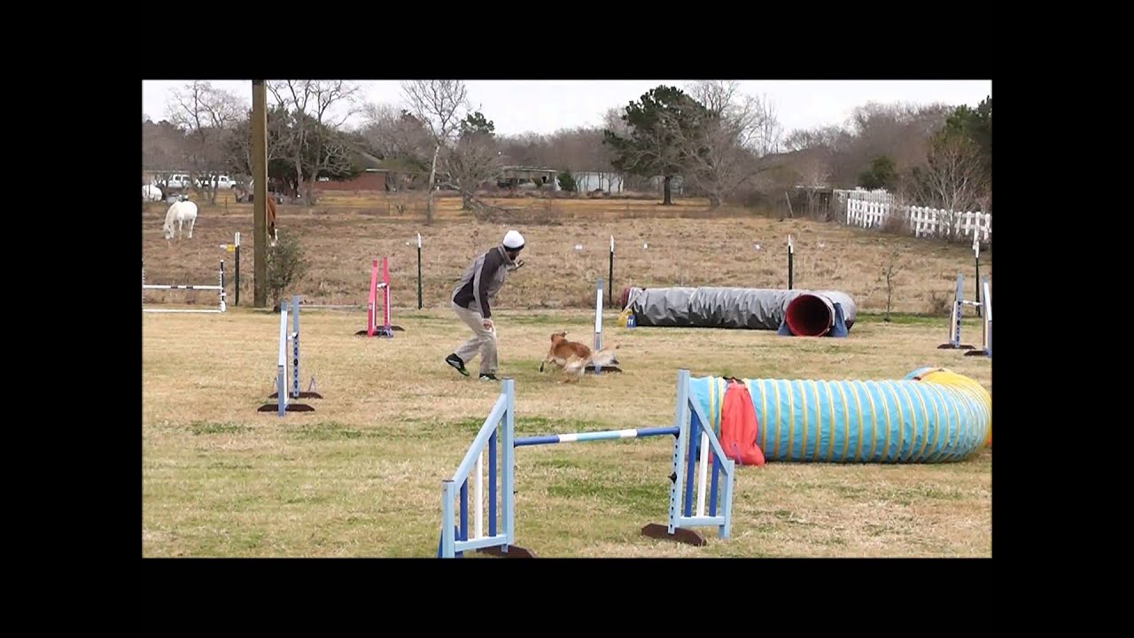 Gitchi on Tamas Traj Course - YouTube