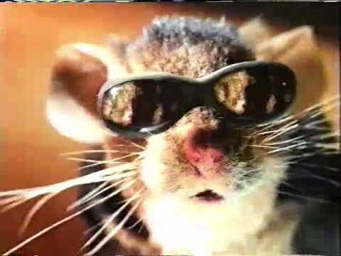 Dell (1998) Television Commercial - Mouse - YouTube