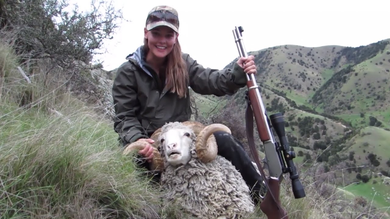 Hunting Wild Rams in New Zealand - YouTube