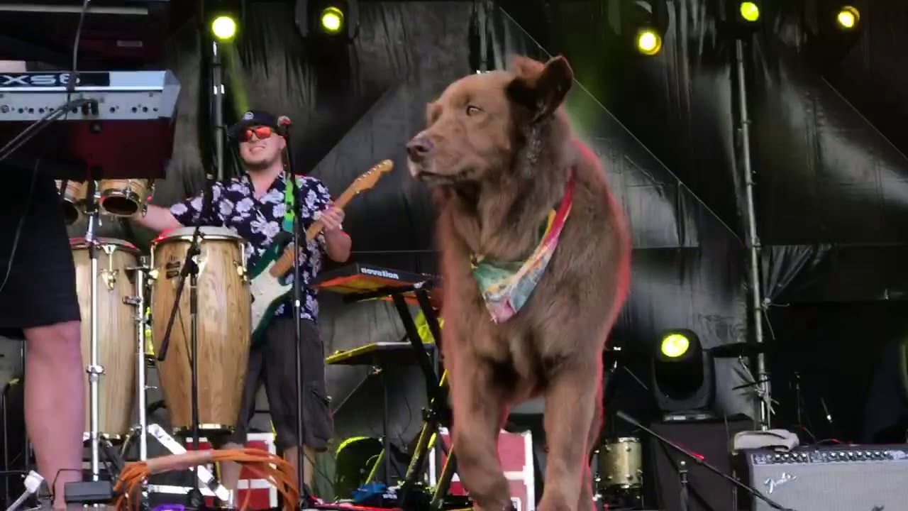 Stick Figure - Coco de Rasta - YouTube