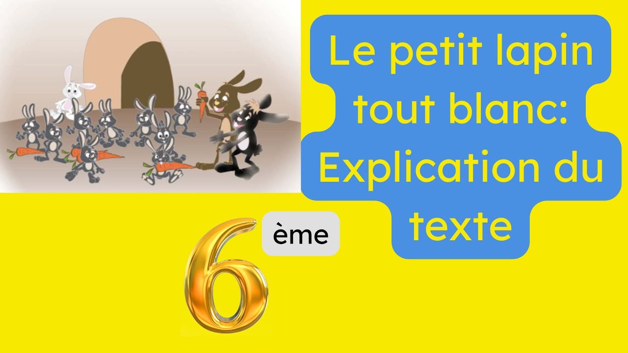 Le Petit Lapin Tout Blanc 6ème année l Explication du texte - YouTube