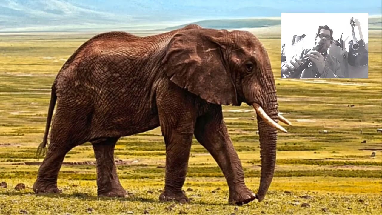 Dance of the Mammoths - The Whole Other - YouTube