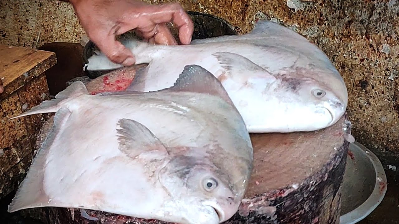 DELICIOUS BIG POMFRET FISH CUTTING LIVE | RUPCHANDA FISH CUTTING SKILLS ...