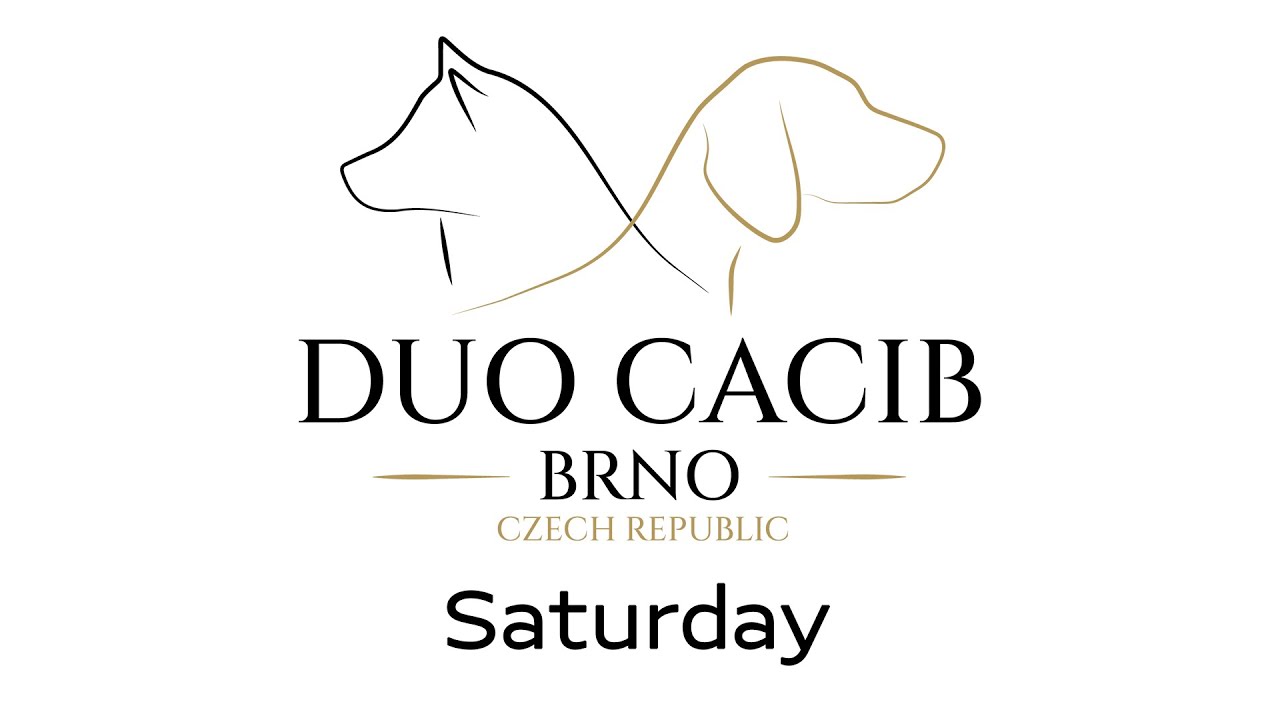 DUO CACIB Saturday - YouTube