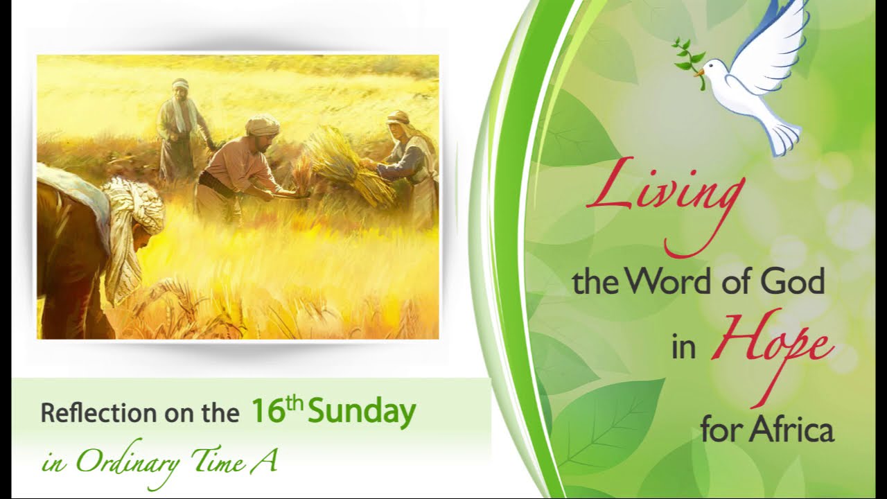 16th Sunday In Ordinary Time Year A - YouTube
